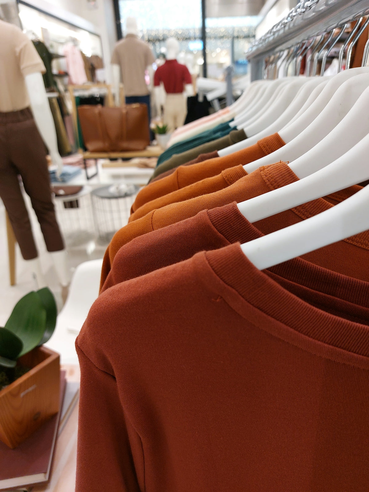 Convincing Reasons to Adopt Sustainable Clothing for B2B Success